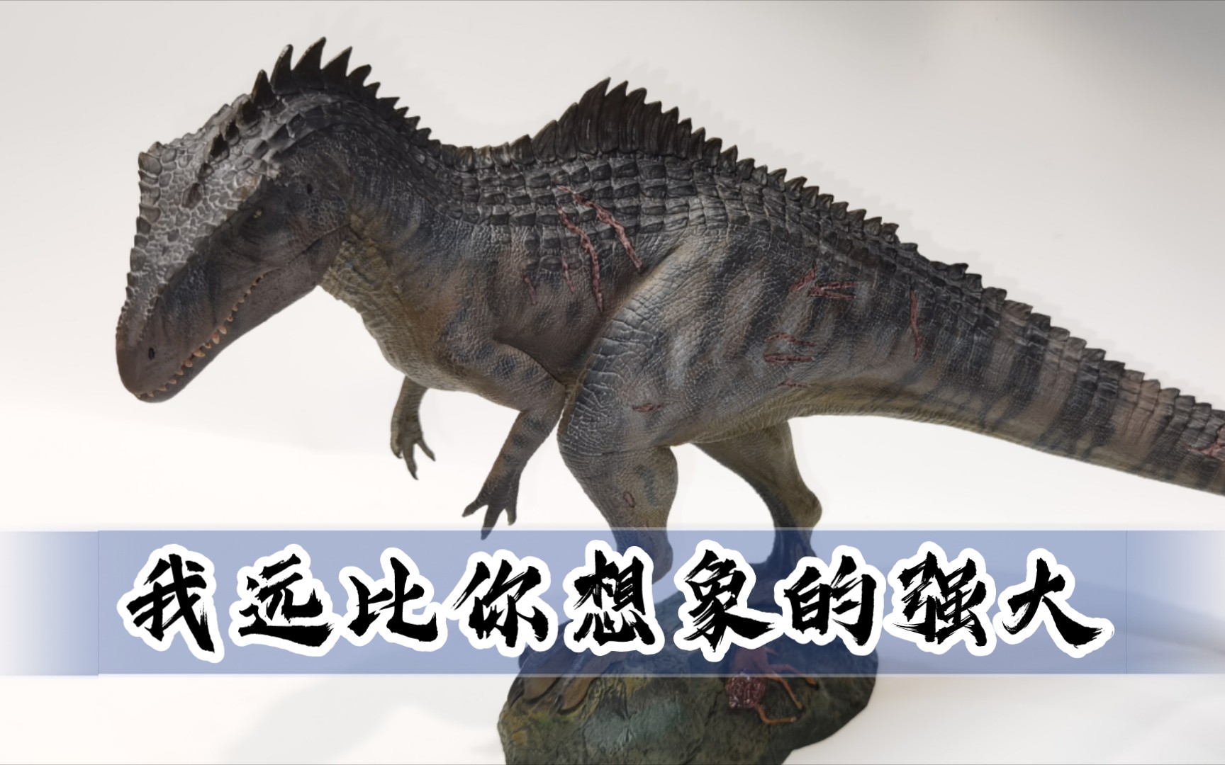超高性价比南方巨兽龙模型分享评测,本心楠改龙魂系列!