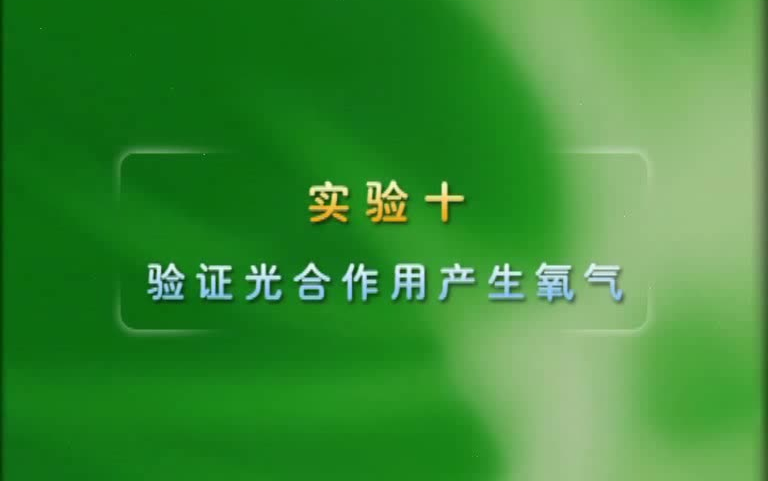 初中生物实验操作视频:验证光合作用产生氧气