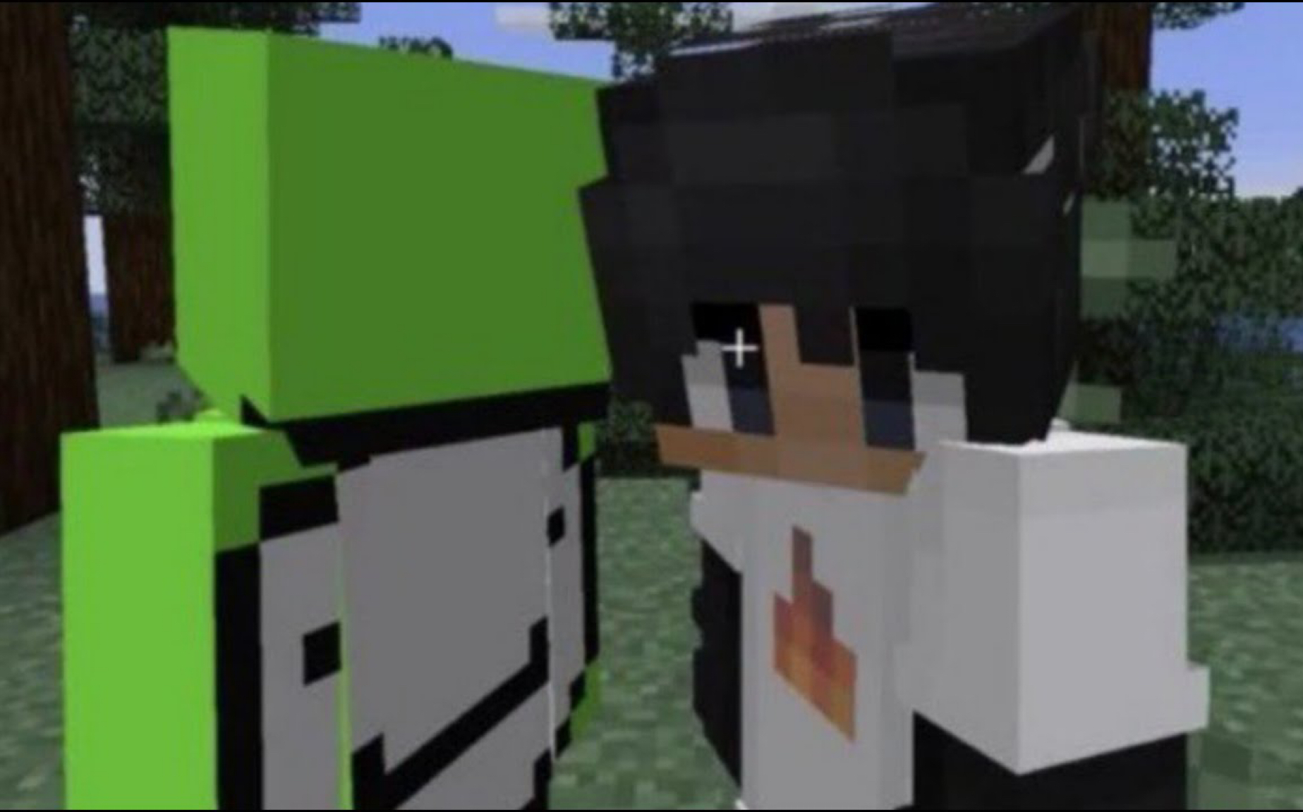 (熟肉|搬运)Dream讨论Sapnap是一个多么好的室友