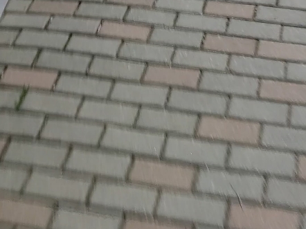 读了将近一年的博士,真正作为一个博士给想要读博的人的建议