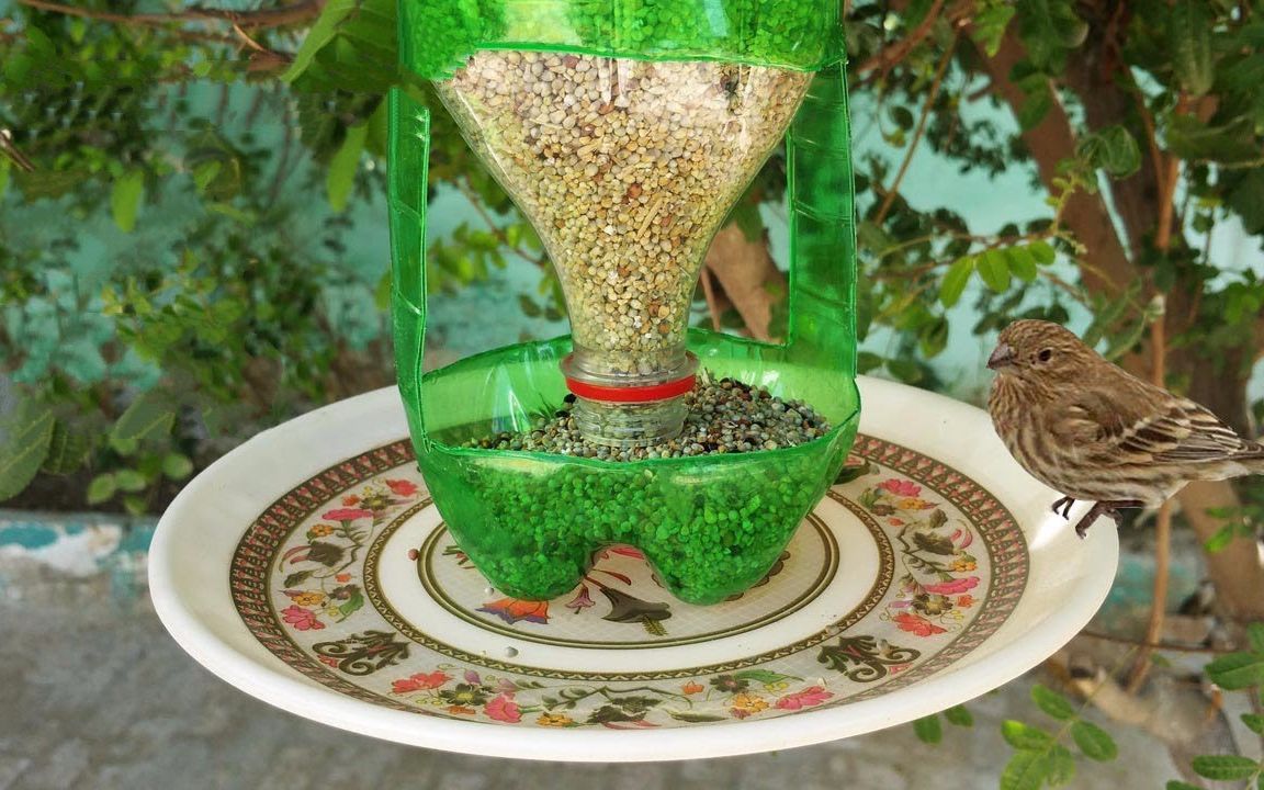 教你用塑料瓶手工制作鸟儿喂食器,放在阳台吸引野生鸟儿吧~