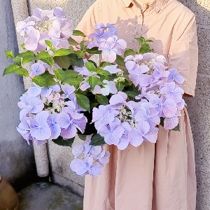 小王爱花花花 