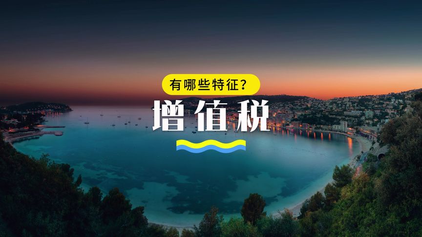 增值税的特点有哪些? #增值税