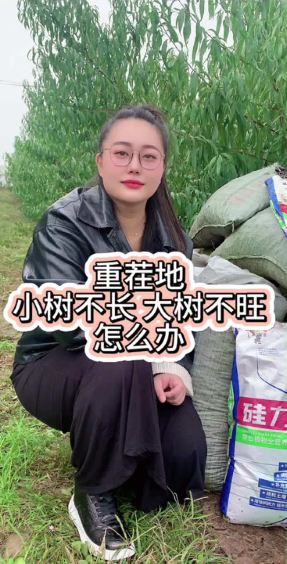 ...办?#抖音新农人 #桃树秋季施底肥方案分享 #桃树种植管理技术分享