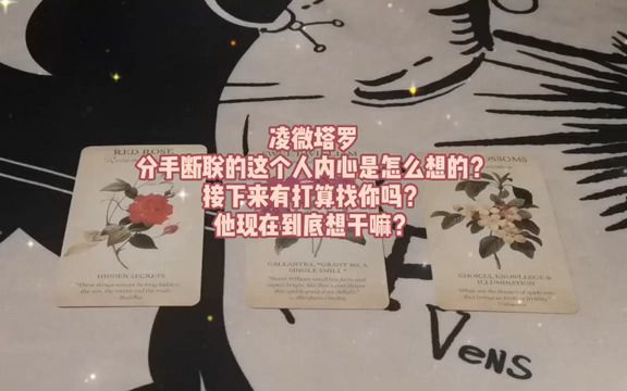 塔罗:他内心怎么想的?接下来有打算找你吗?他现在到底想干嘛?Liu ...
