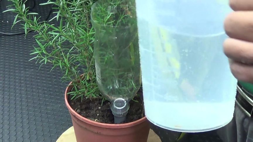 不用的矿泉水瓶不要丢，自制懒人花盆自动浇水器，过程只需三分钟