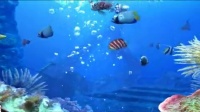 唯美海底世界卡通鱼群珊瑚水草婚礼婚庆led大屏幕背景视频素材