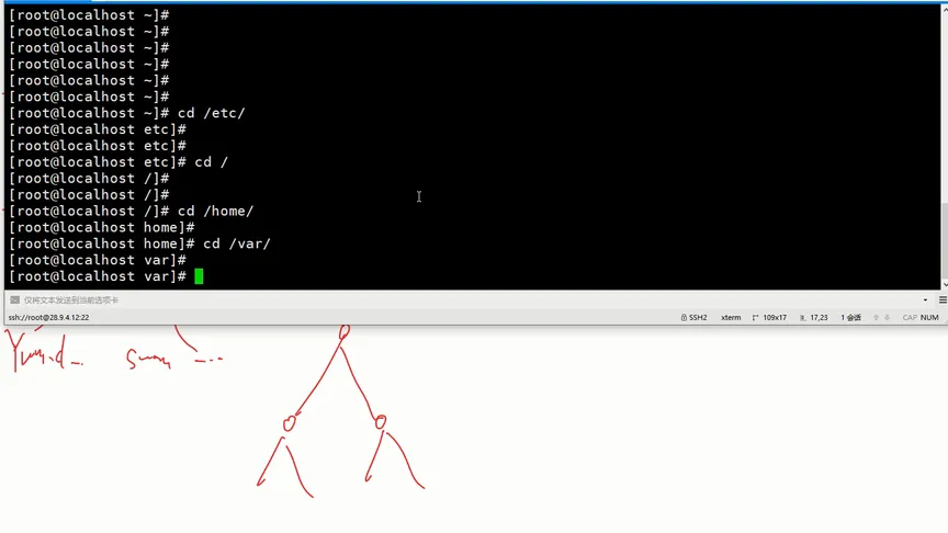 5-Linux基本命令操作