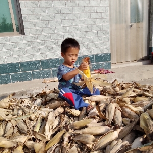 一瓢源码甘甜水 