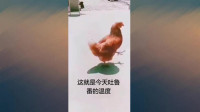看把你热的,还穿羽绒服,穿个背心不就凉快多了!