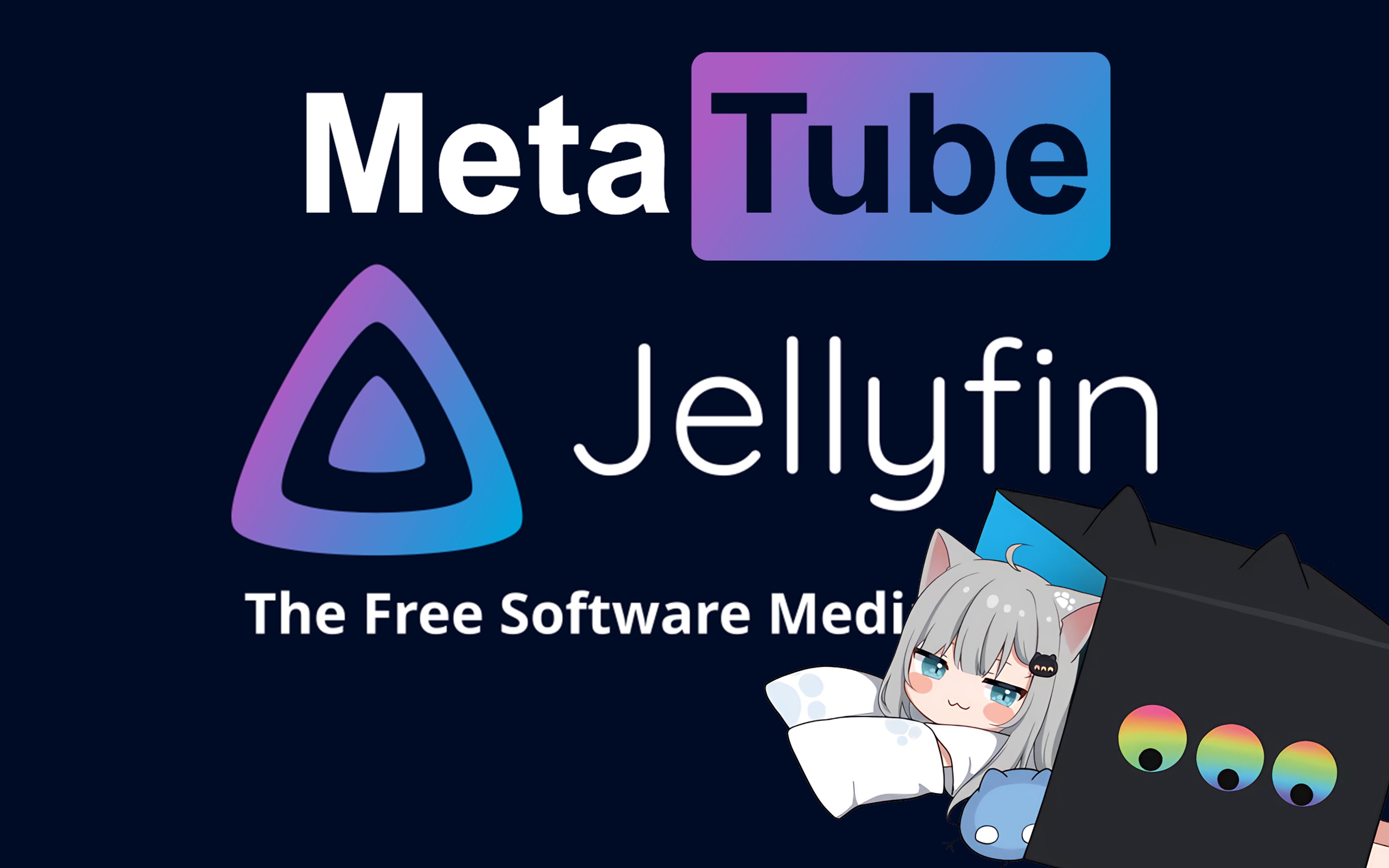 tmm杂谈S0E4:jellyfin特定类别电影的元数据刮削插件 cd1