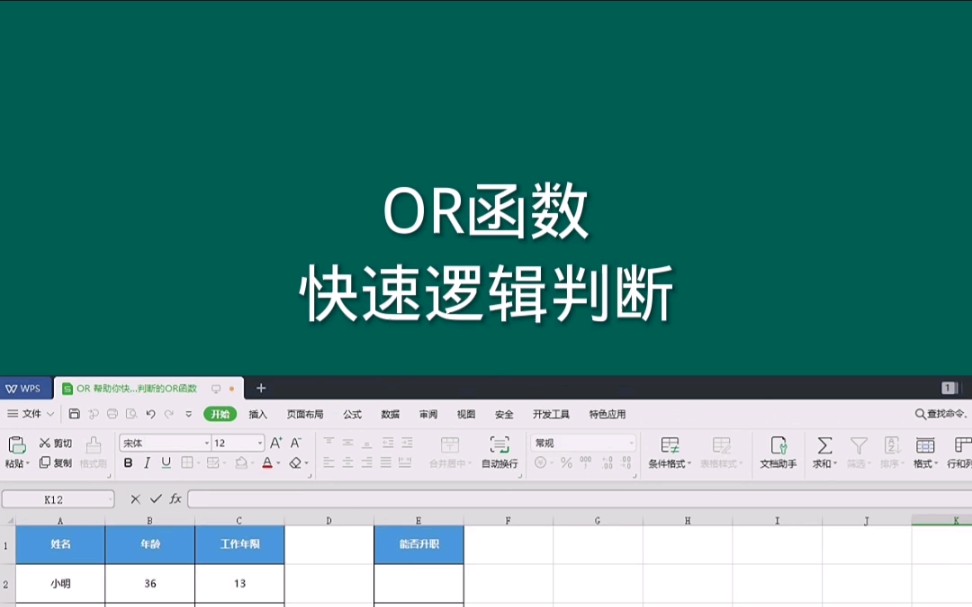 OR函数快速逻辑判断 #office办公技巧 #Excel #excel技巧