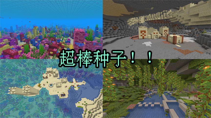 MC:超棒种子地下沙漠神殿,大片珊瑚海,海上村庄,我全都要!
