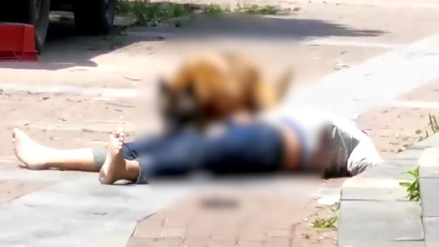 江苏一男子当街躺着被狗撕咬,街道办:系男子醉酒逗狗