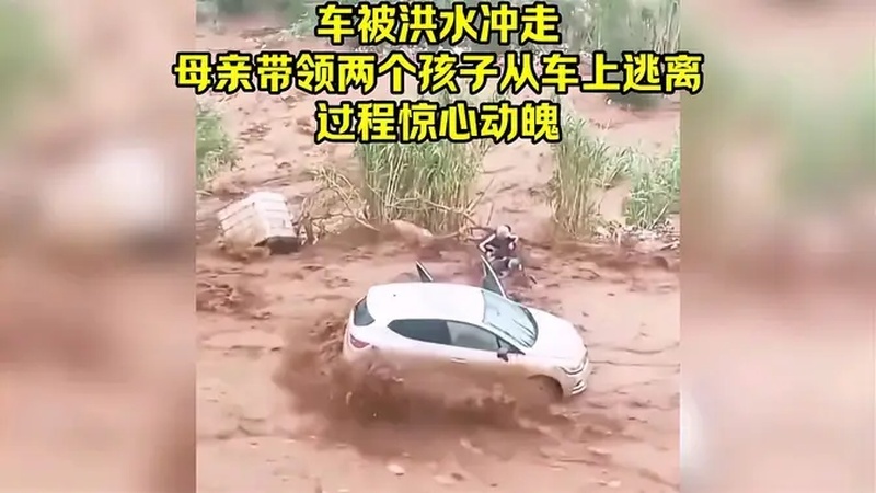 车被洪水冲走了,母亲带领两个孩子从车上逃离过程惊心动魄