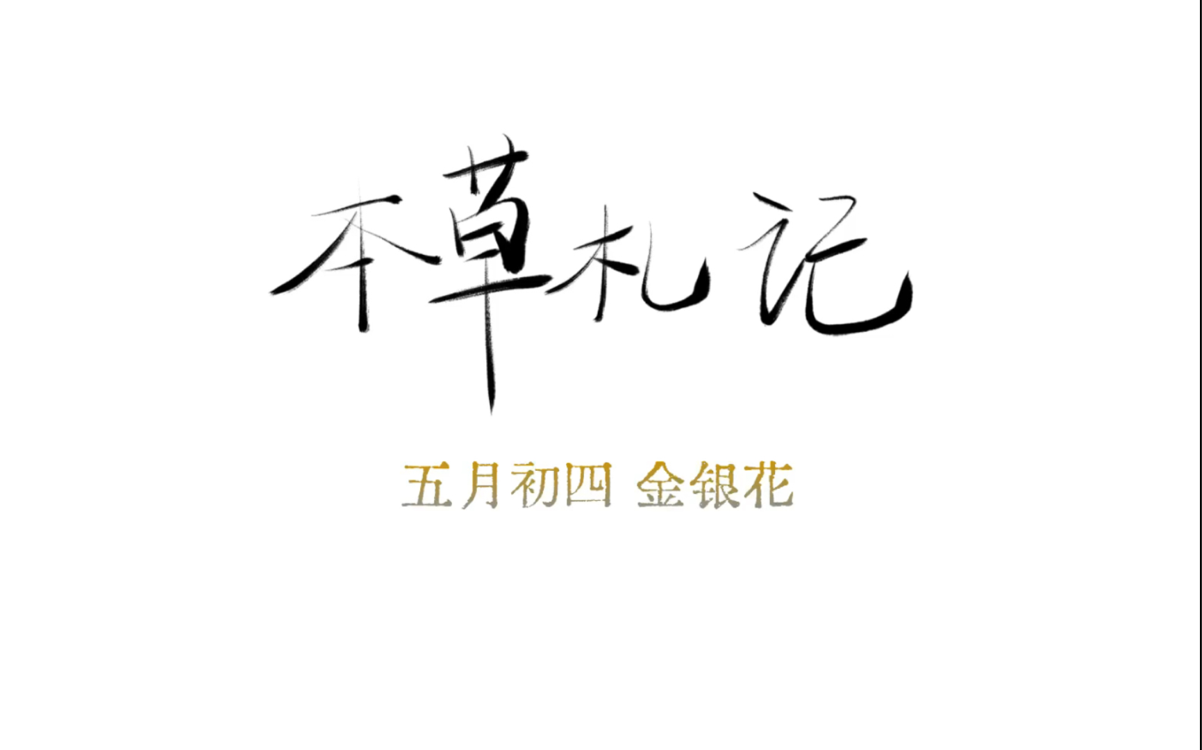 【本草札记】初开如银后似金,清疏风热解疮毒——忍冬花(金银花)