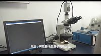 XPN 300E型偏光显微镜操作步骤