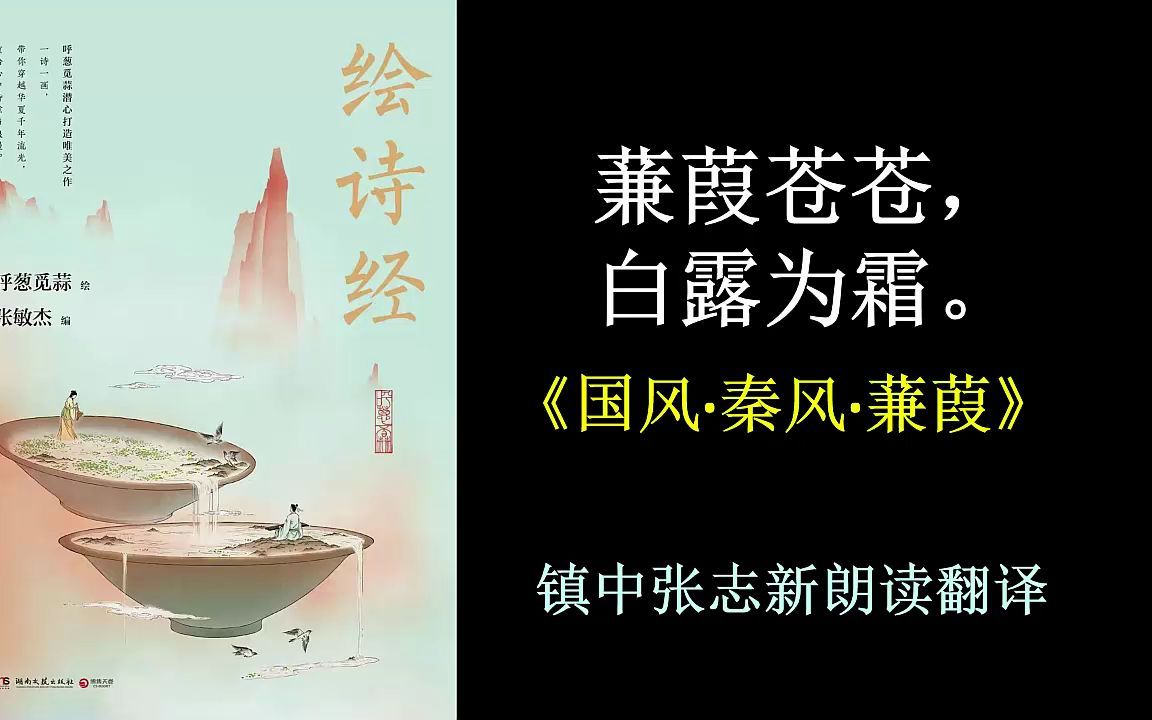 《诗经·秦风·蒹葭》朗读翻译 初中语文必修 镇中张志新朗读