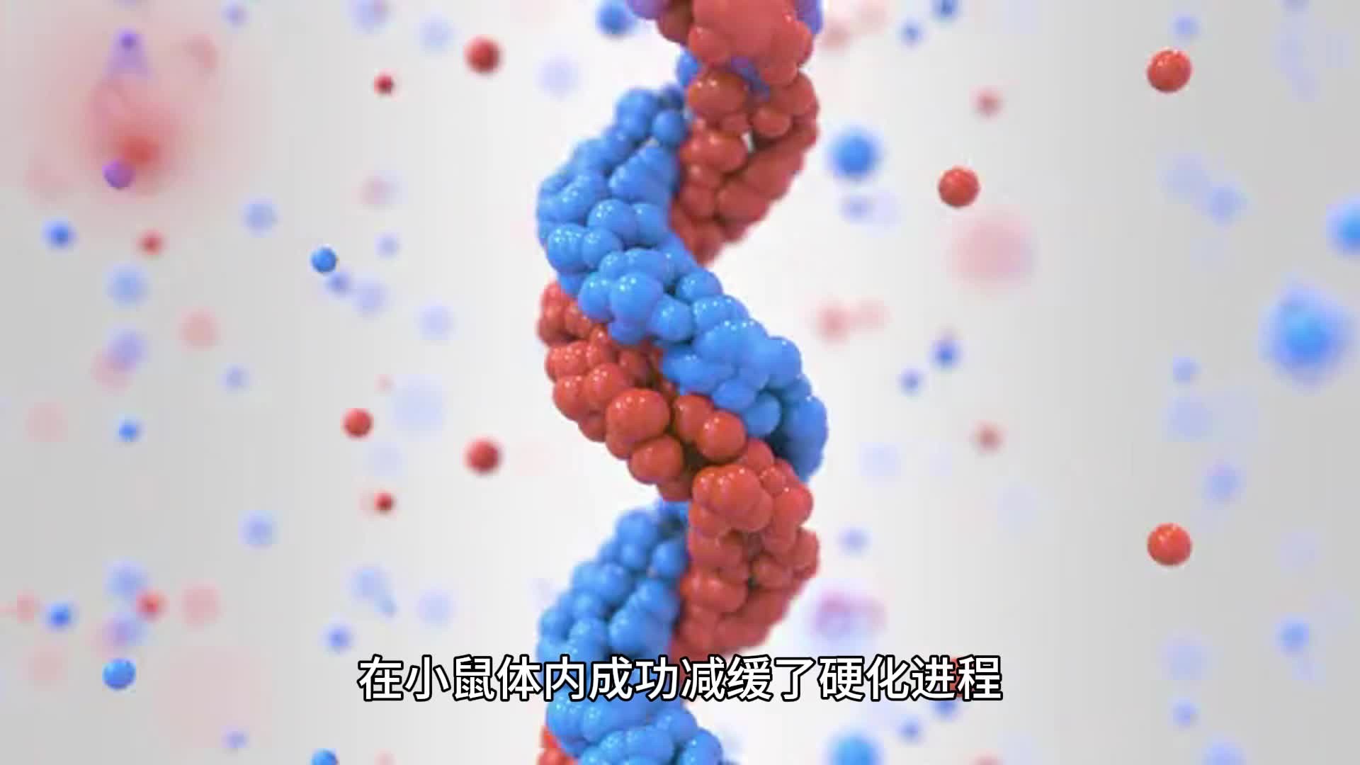 解码动脉粥样硬化:小鼠模型揭示最新研究进展