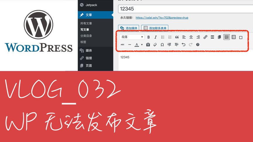 VLOG_034_WP无法发布文章-wprdpress