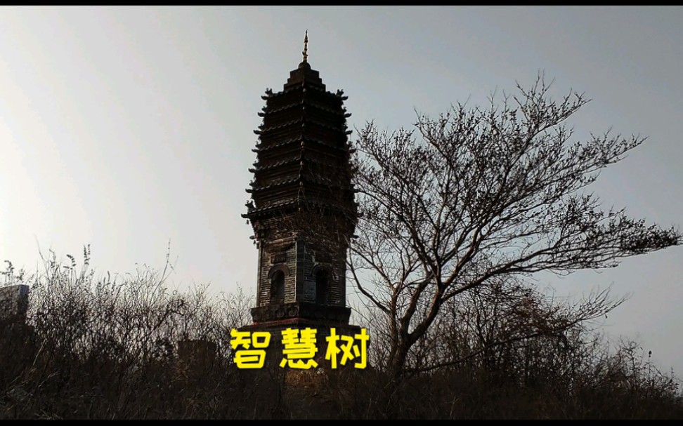 葫芦岛辽代古塔