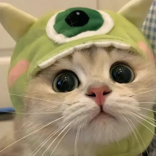 金泽每日搞钱信息差 