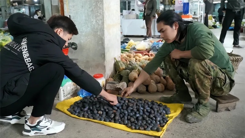 收获棕榈果,拿到市场上卖,没想到还能卖个好价钱