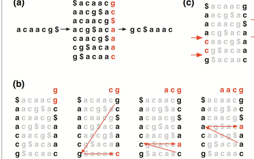 20171026-基于BWT算法的比对软件原理解析(BWA & Bowtie & ...