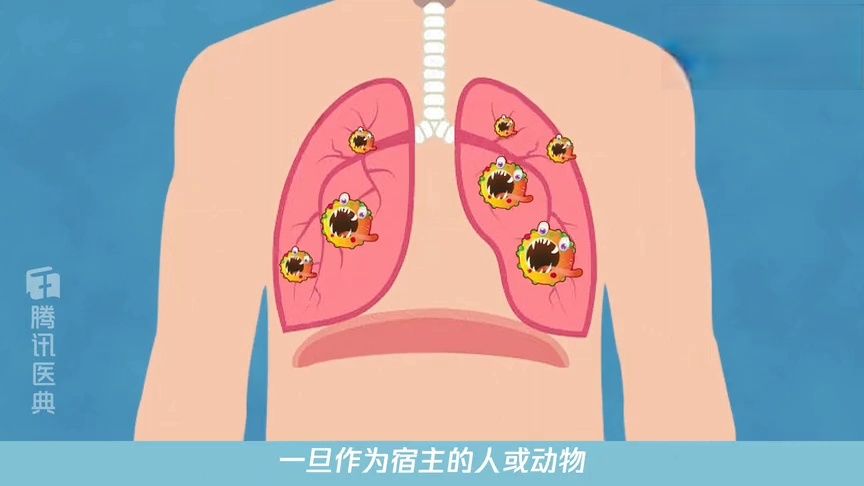 冠状病毒真的会越变越弱吗?