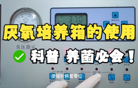 实验室科普|厌氧培养箱的使用方法