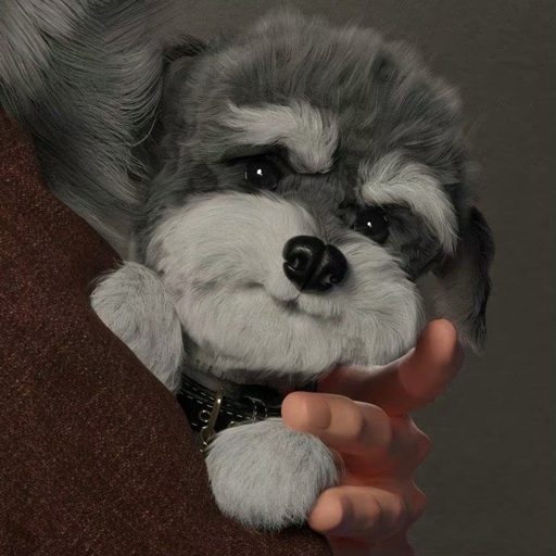 Iris媛媛与宁同在 