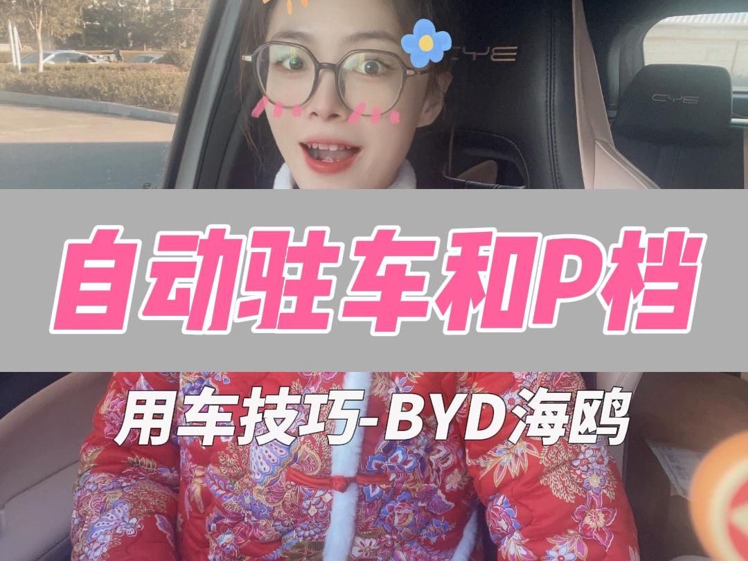 自动驻车、P档、电子手刹