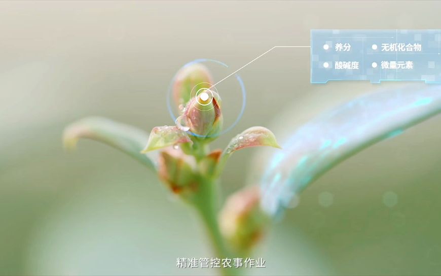 数字化报道:佳沃聚力推动农食产业数智化,共画农业现代化图景