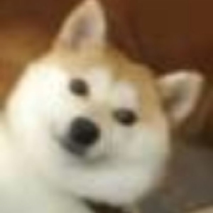 玖_椧 