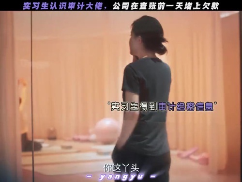 实习生曝光财务黑洞,审计大佬揭秘实锤数据缺失