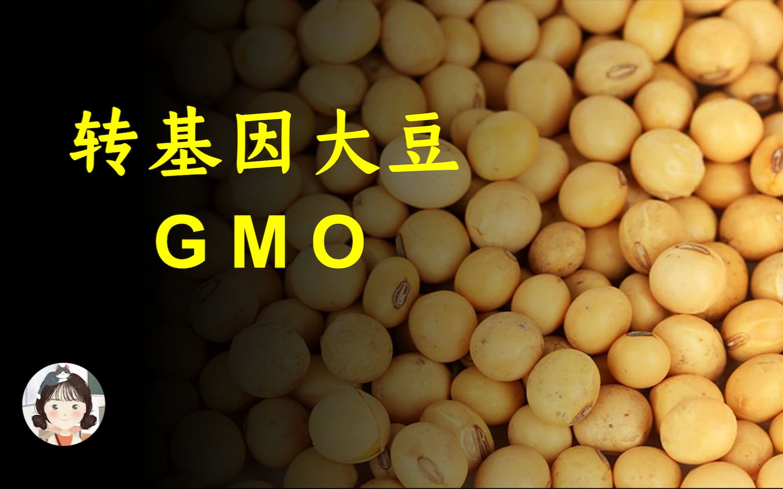 【转基因一】转基因大豆,转的是什么基因?有什么用?对人体有害吗?