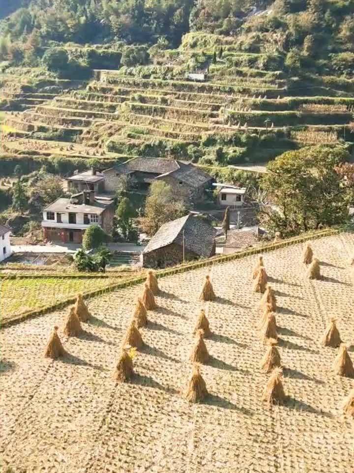 如今电话不响了,微信也没人聊了,手机成了付款工具,朋友圈是日常,信息.
