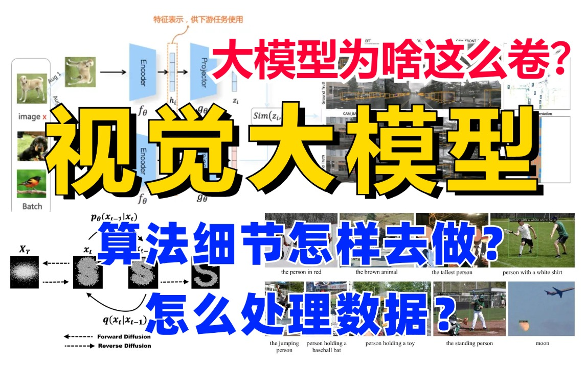 【视觉大模型分割一切】1小时搞懂算法细节怎样去做?怎么处理数据?...