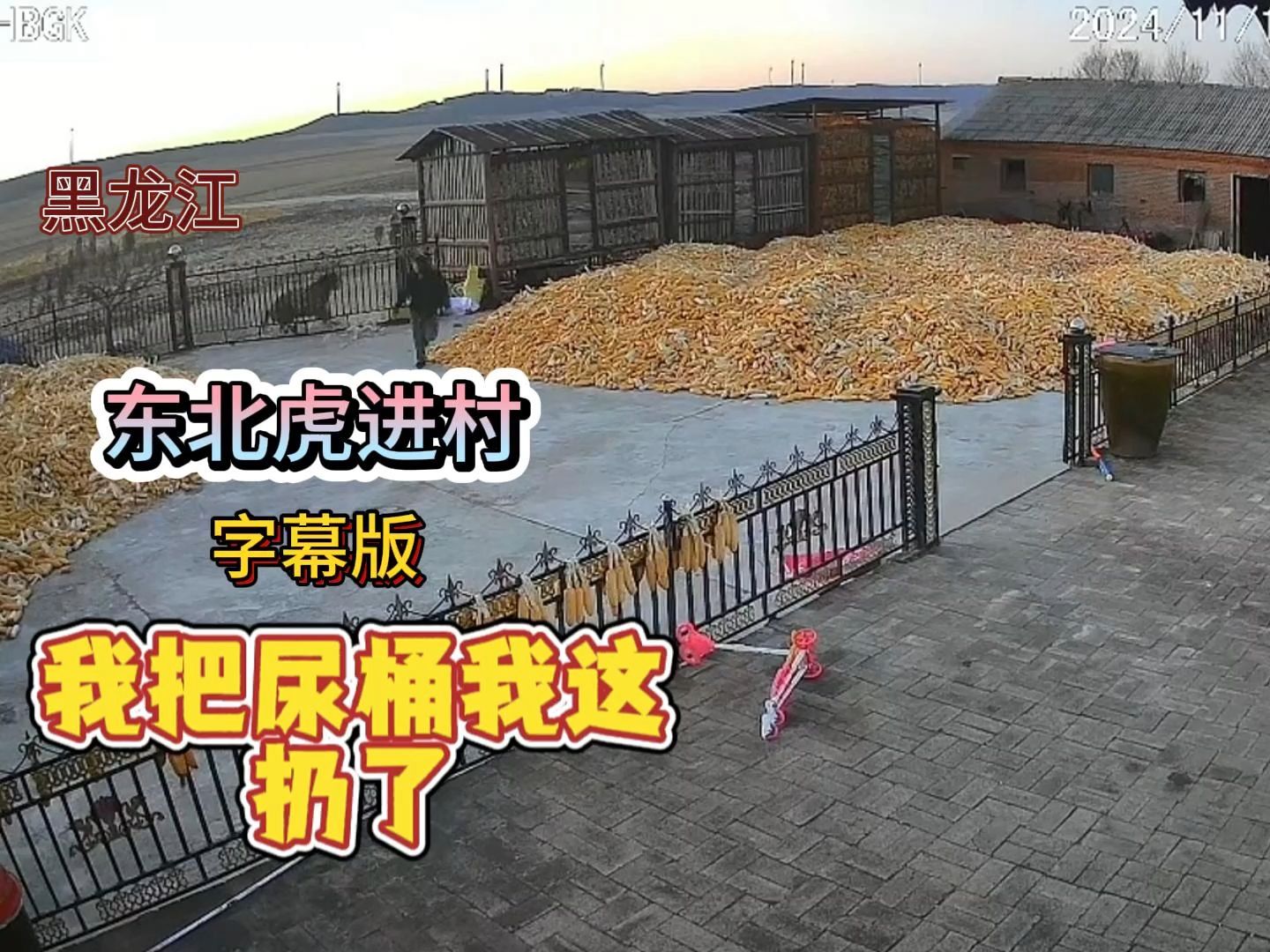 黑龙江东北虎进村完整录像(字幕版)