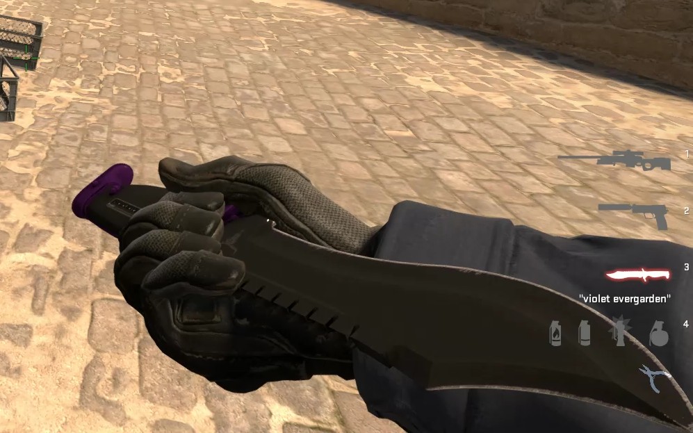 【CSGO】鲍伊猎刀游戏内动作展示