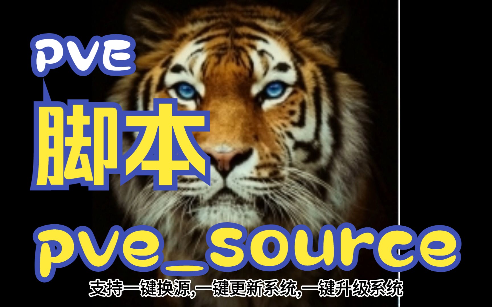史上最强PVE虚拟机辅助脚本PVE_SOURCE使用教程