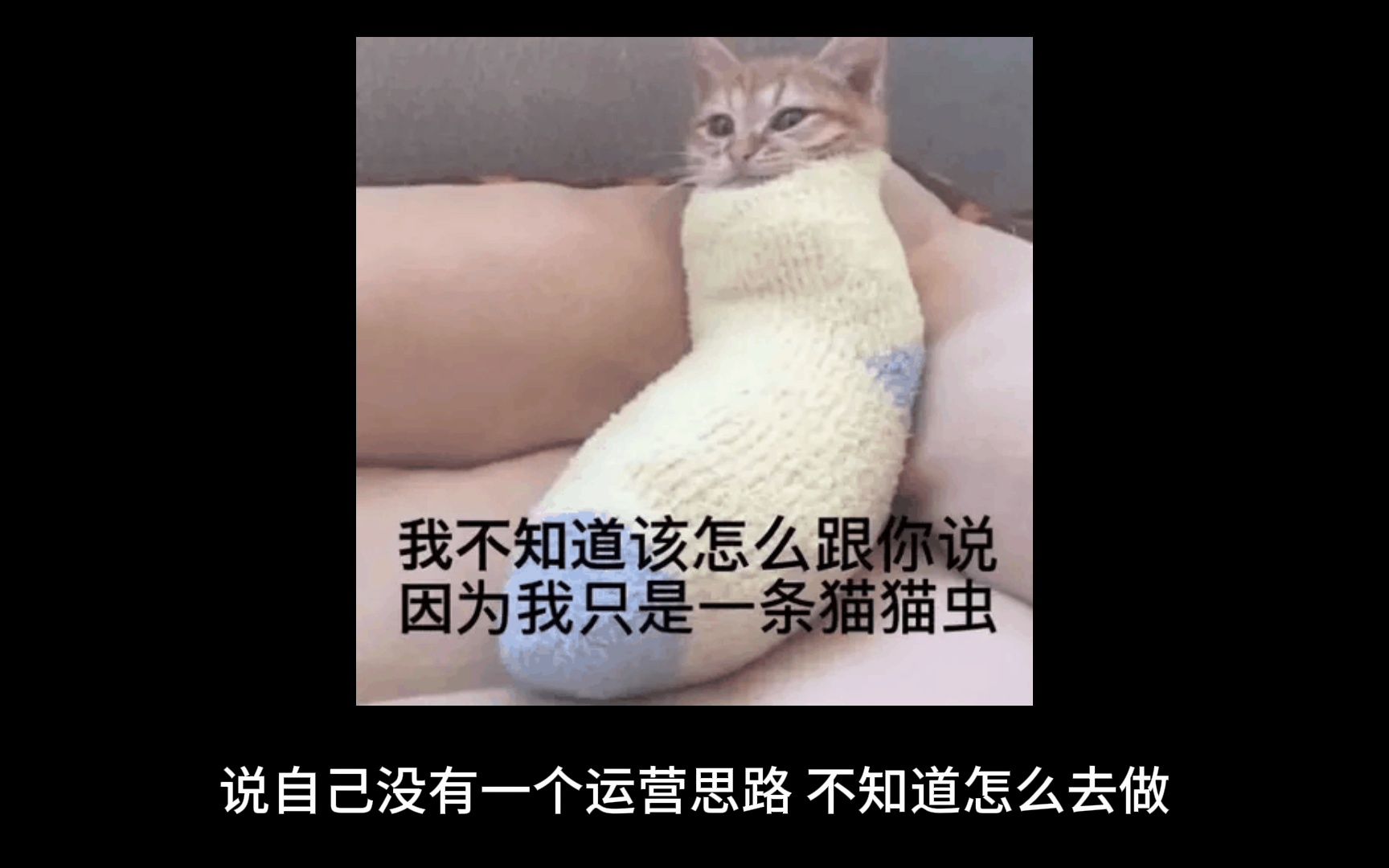 拼多多商家该如何开通拼多多直通车曝光全教程细节讲解
