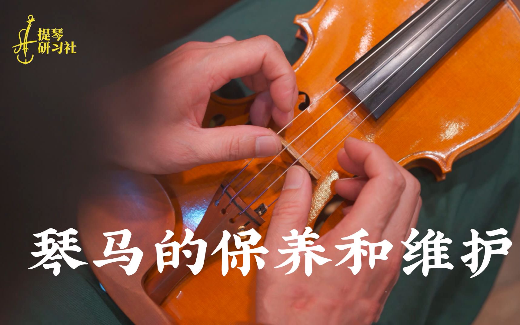 【提琴研习社】小提琴琴马的保养与维护
