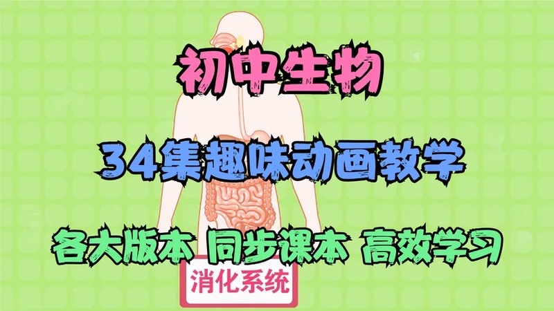 初中七年级生物动画 34集趣味动画教学 通俗易懂《消化系统》