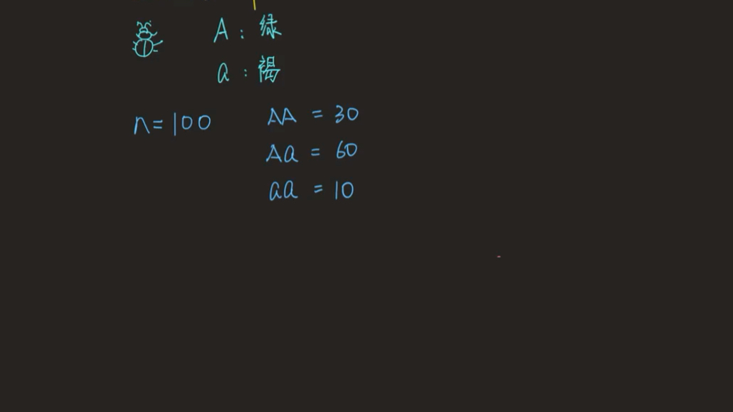 基因频率的计算