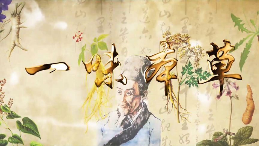 一味本草之苍术:功效与作用及禁忌