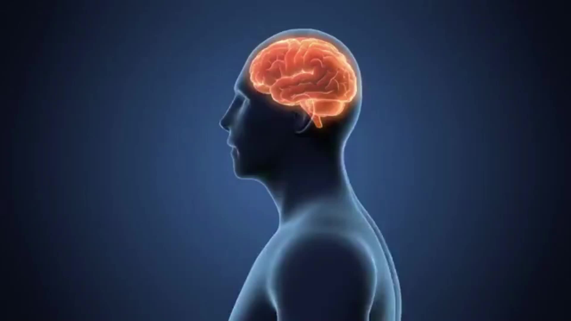 建议大家少吃4类食物,吃多了脑袋或越转越慢!