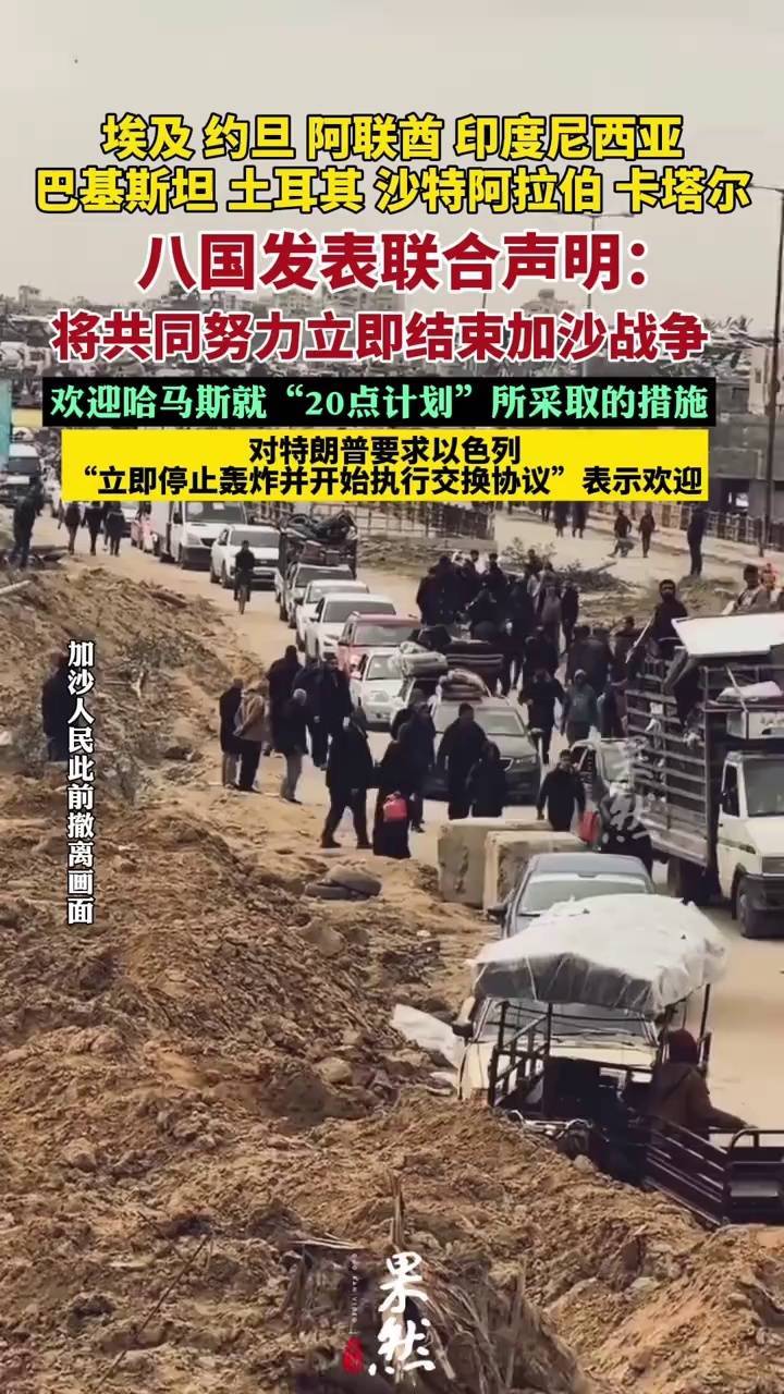 八国发表联合声明 将共同努力立即结束加沙战争(环球网)