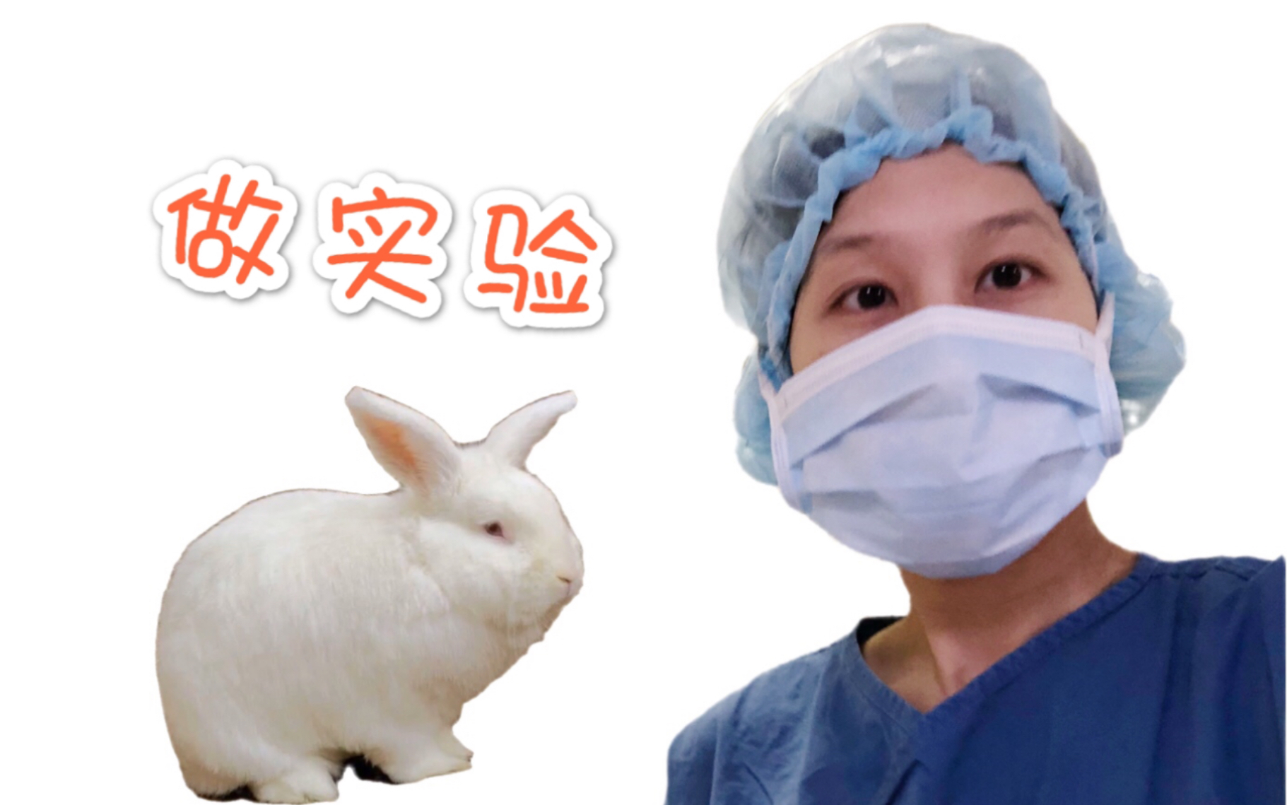 医学研究生|动物实验真是令人头疼呀