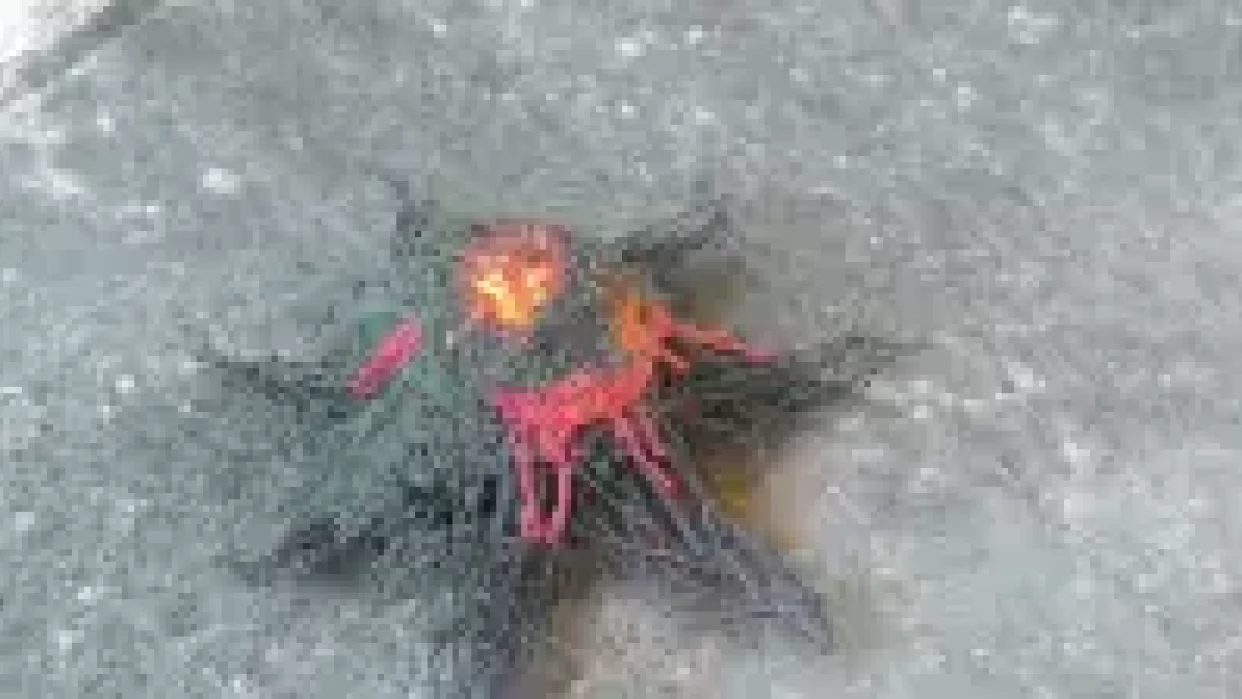 模拟火山爆发实验, 很真实的一段影片